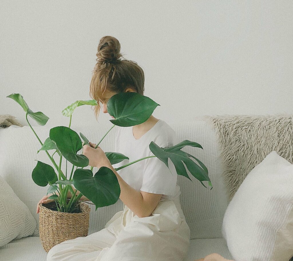 About Us – Greenzone